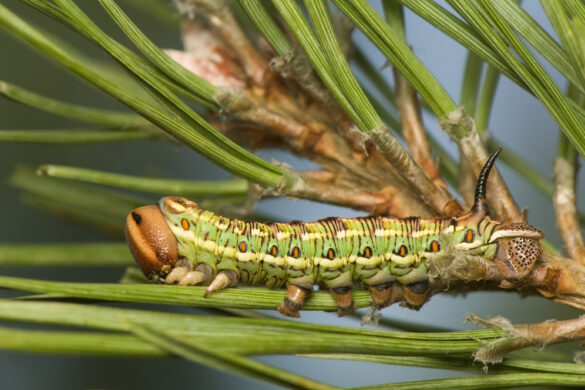 Kriechstrom: Grundlegendes, Ursachen und Vorbeugung