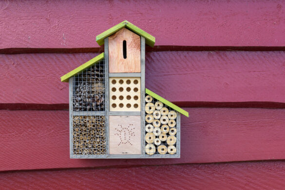 Kriechstrom: Grundlegendes, Ursachen und Vorbeugung